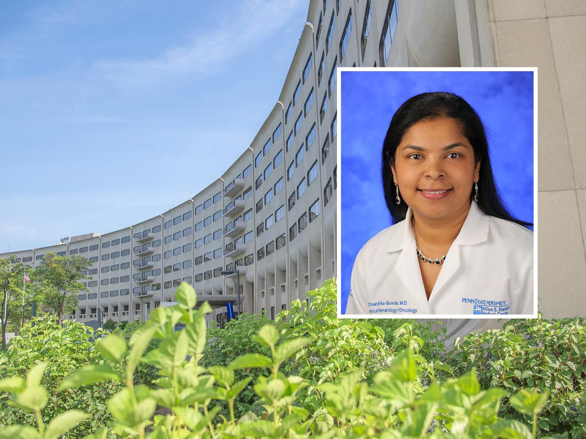 Gowda to Lead Physician-Scientist Training Program